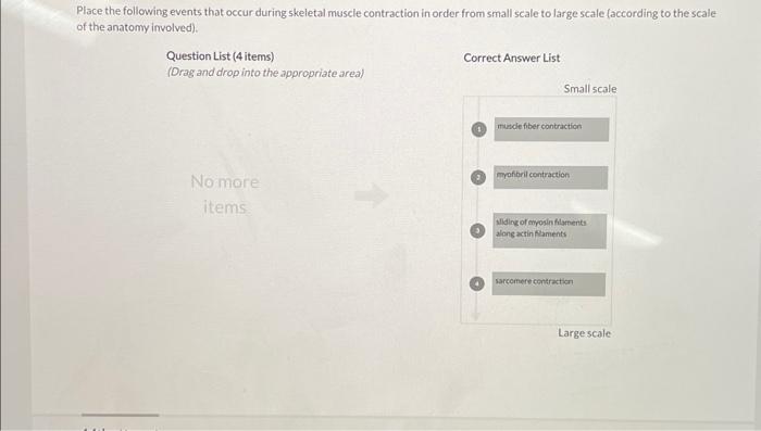 Solved Place the following events that occur during skeletal | Chegg.com