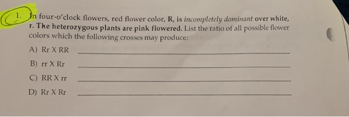 Solved Answer Red Green Color Blindness Is Inherited As A 3640