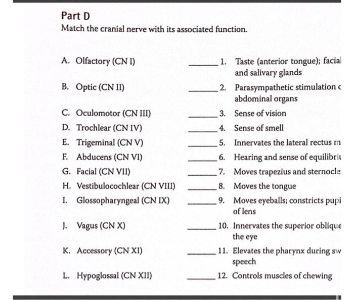 Solved Part D Match the cranial nerve with its associated | Chegg.com