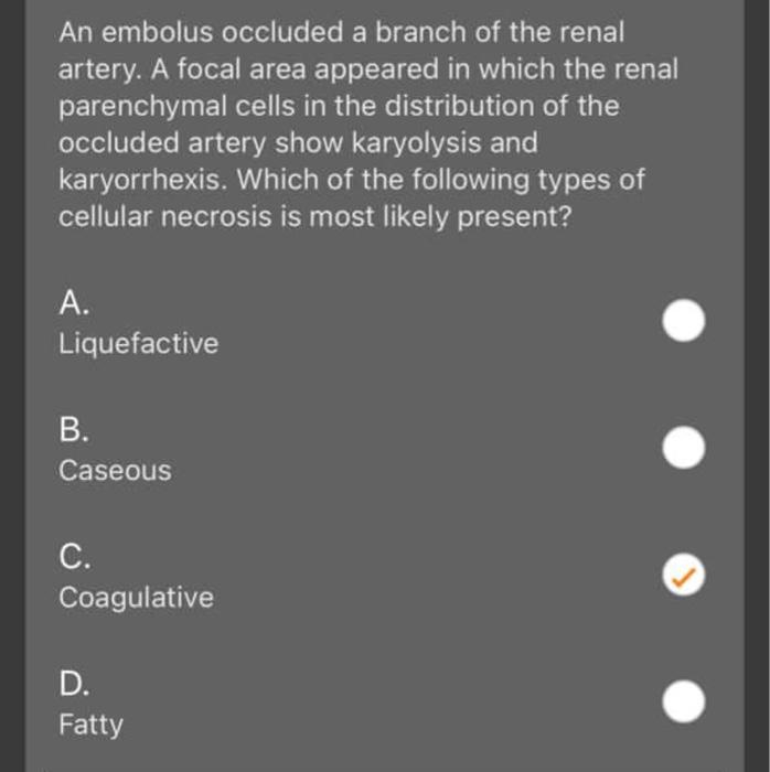Solved An embolus occluded a branch of the renal artery. A | Chegg.com