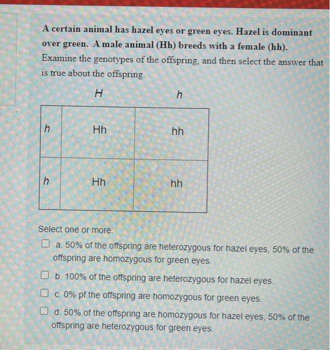 Solved A certain animal has hazel eyes or green eyes. Hazel | Chegg.com