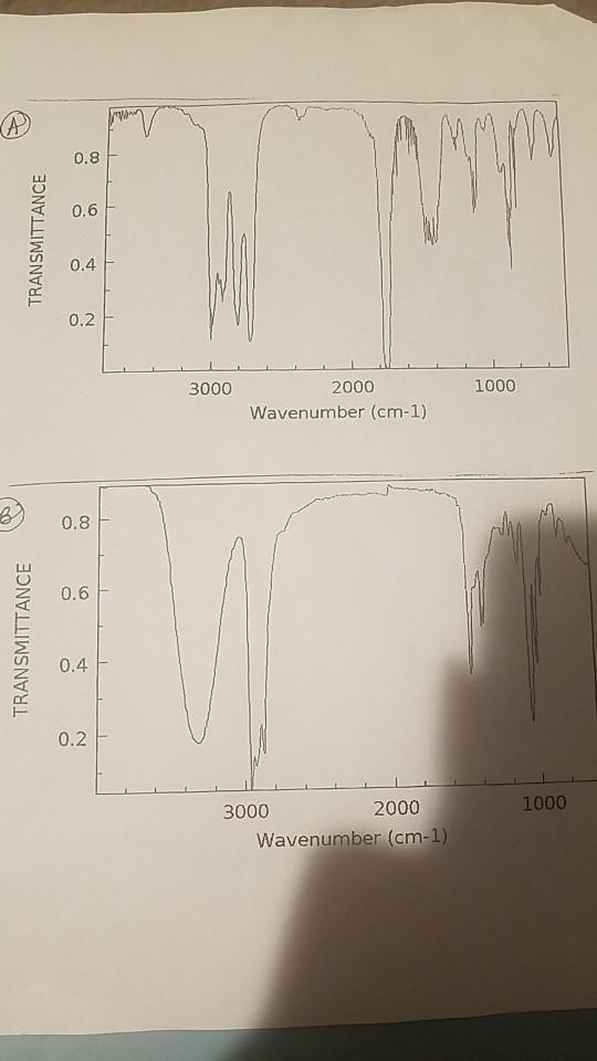 Solved Infrared Spectroscopy Sample Exercises 3 С F Match | Chegg.com