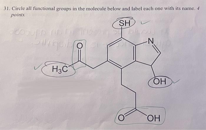 Solved 31. Circle all functional groups in the molecule | Chegg.com