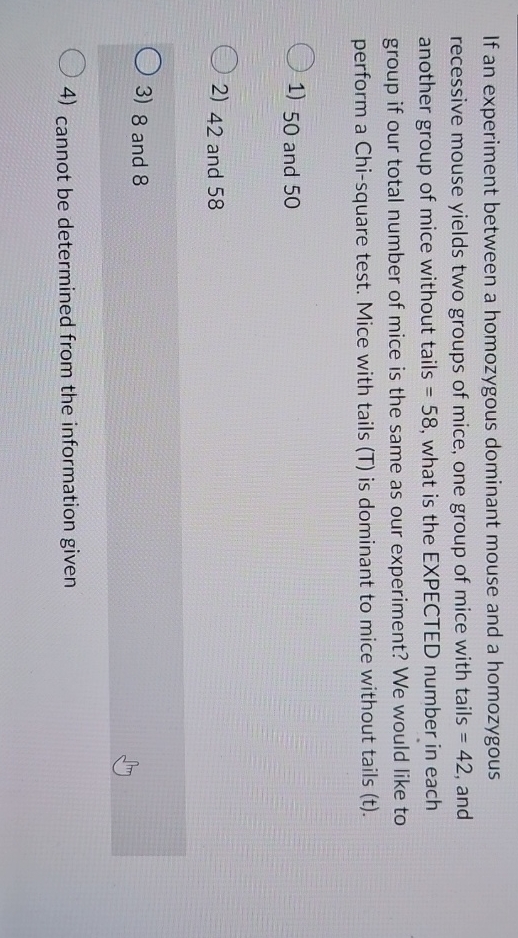 Solved If an experiment between a homozygous dominant mouse | Chegg.com