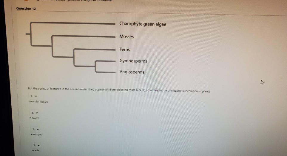 Solved Question 12 Charophyte green algae Mosses Ferns | Chegg.com