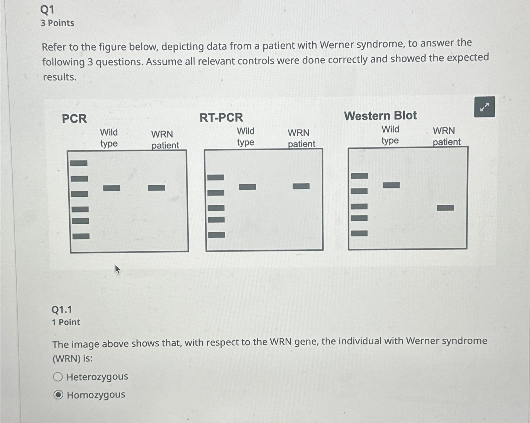 Solved Q13 ﻿PointsRefer to the figure below, depicting data | Chegg.com