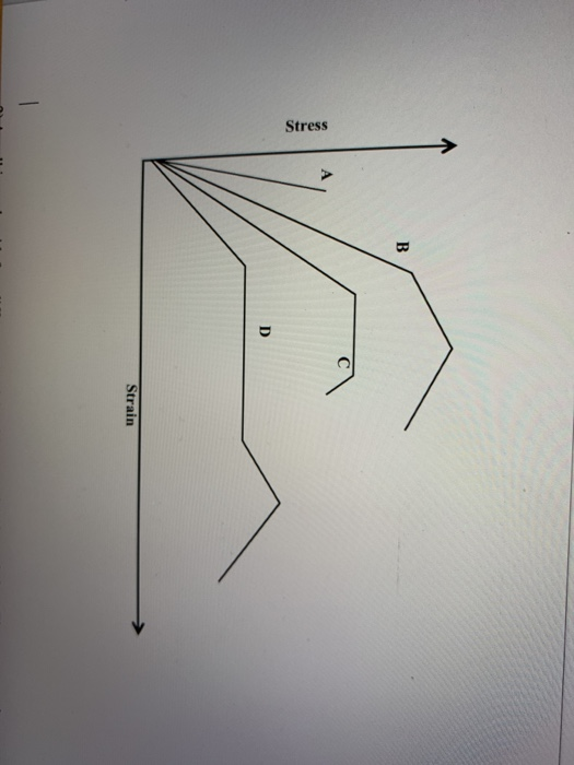 Solved Insert Table Chart Text Shape Media Comment Collab 1) | Chegg.com