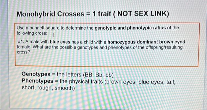 Solved Use a punnett square to determine the genotypic and | Chegg.com