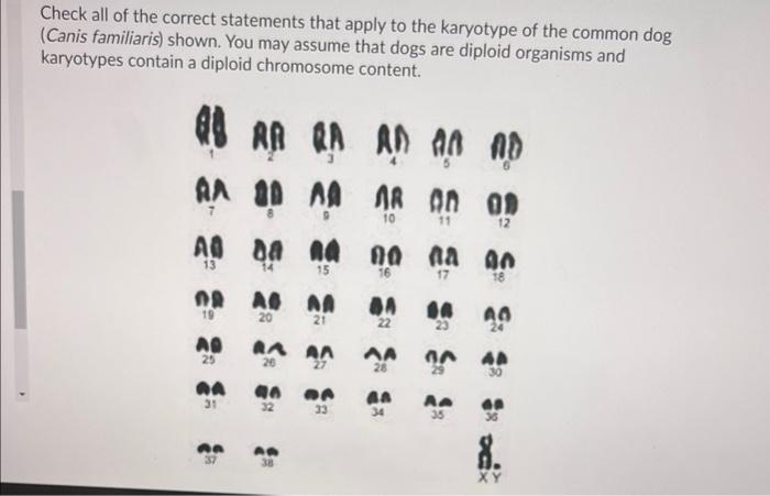 Solved Check all of the correct statements that apply to the | Chegg.com