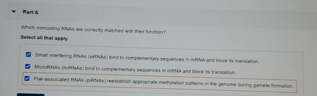 Solved Part A Which noncoding RNAs are correctly matched | Chegg.com
