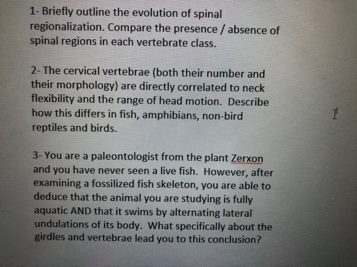 Solved 1- Briefly outline the evolution of spinal | Chegg.com