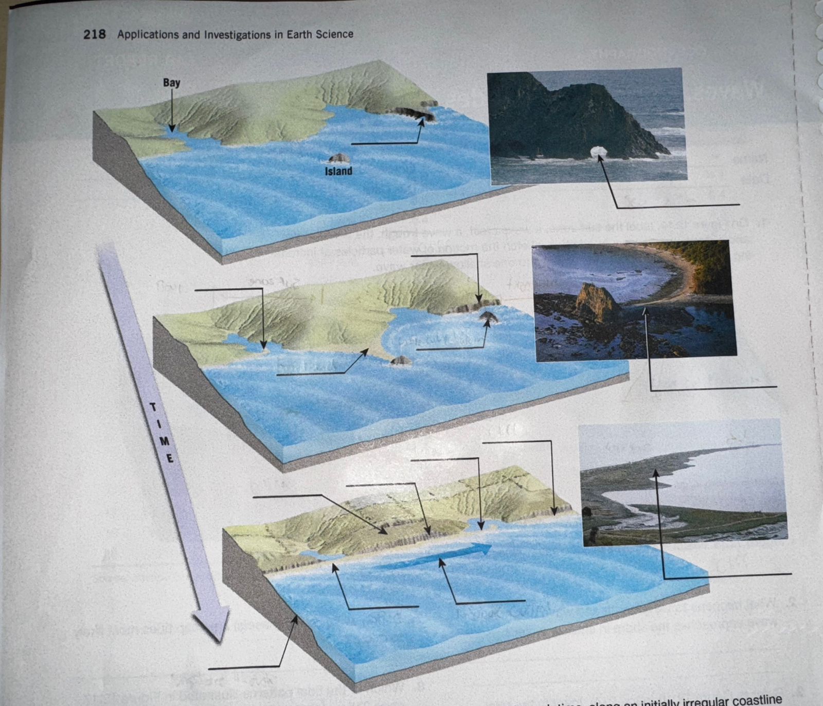 Solved Identify the features associeted with an evolving | Chegg.com