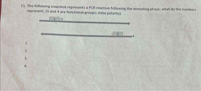 Solved 11. The following snapshot represents a PCR reaction | Chegg.com