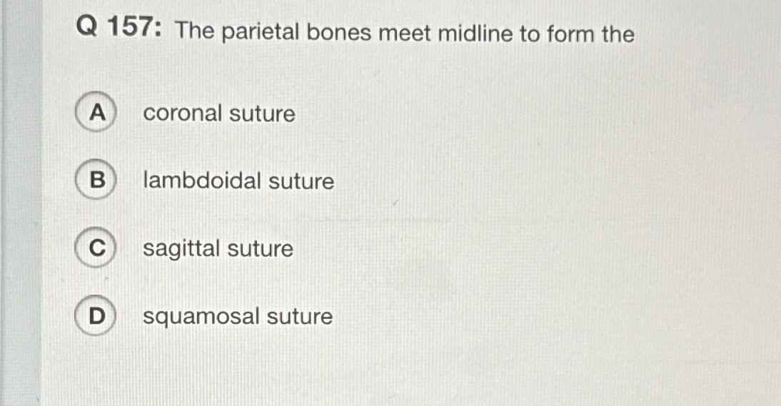 Solved 157: The parietal bones meet midline to form | Chegg.com