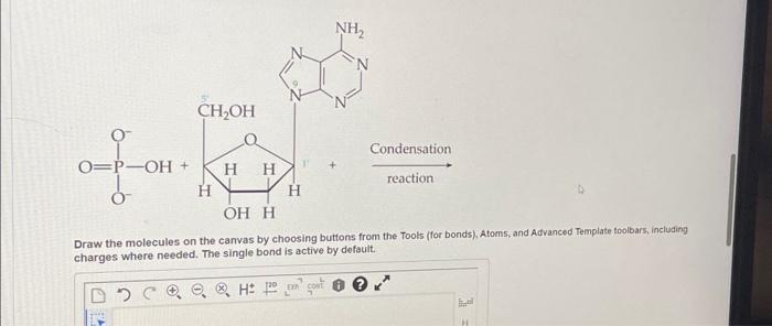 Solved reaction Condensation Draw the molecules on the | Chegg.com
