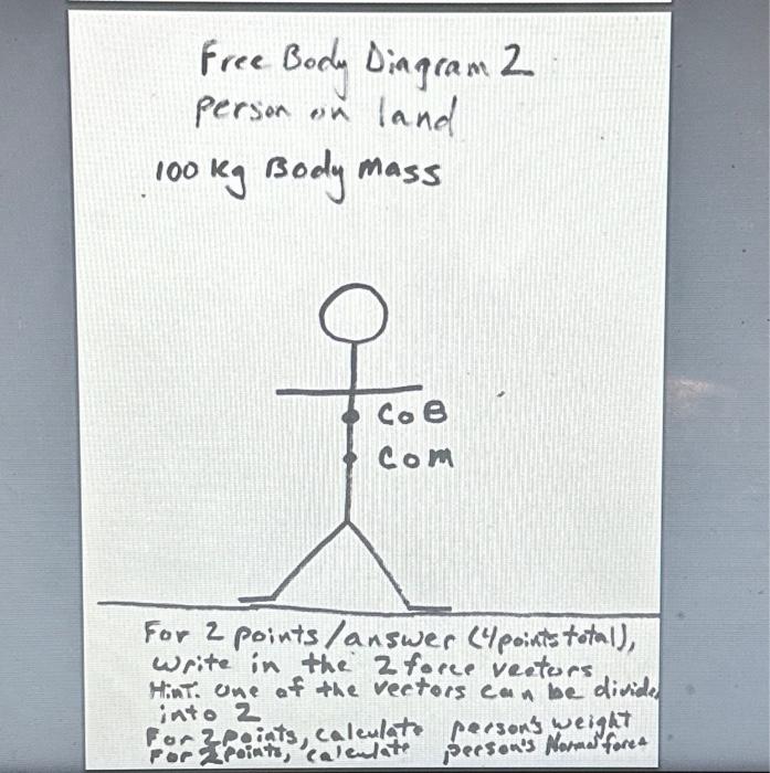 Solved Free Budy Diagram I Person submerged in water Feet on | Chegg.com