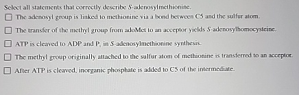 Solved Select all statements that correctly describe | Chegg.com