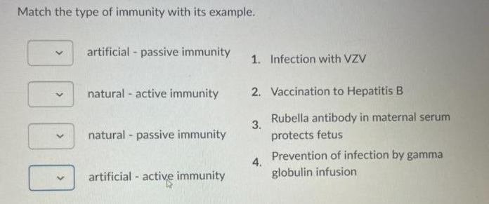 Solved Match the type of immunity with its example. | Chegg.com