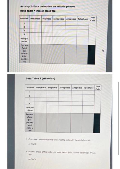 the total cell cycle is spent in each phase. Select | Chegg.com