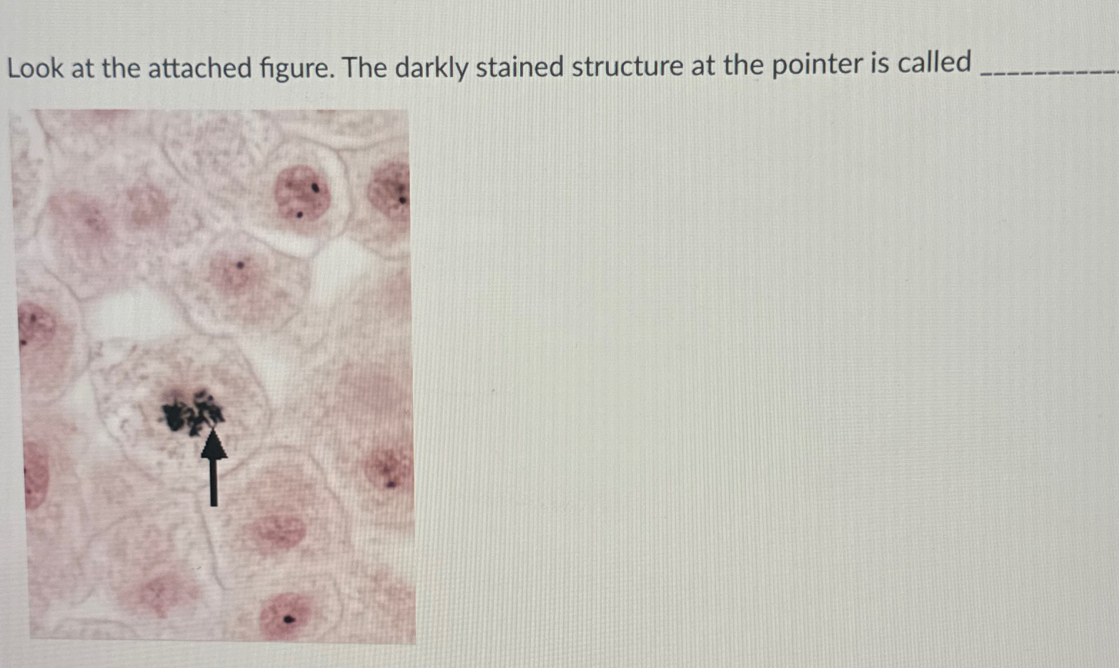 Solved Look at the attached figure. The darkly stained | Chegg.com