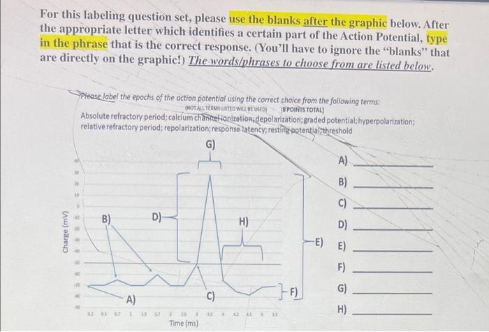 Solved For this labeling question set, please use the blanks | Chegg.com