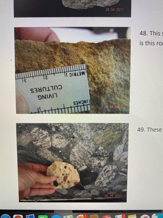 Solved 48. This specimen is composed of round clasts that | Chegg.com