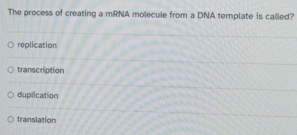 Solved The process of creating a mRNA molecule from a DNA | Chegg.com