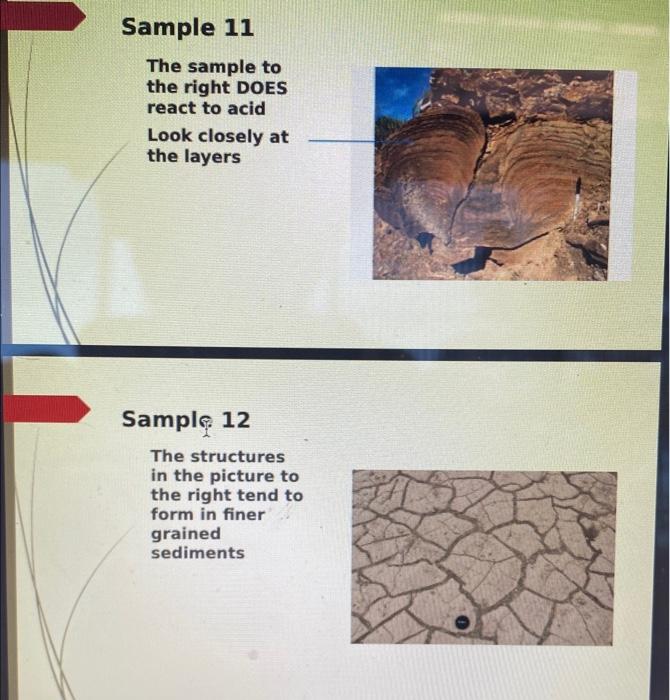 Solved Using the sedimentary structures provided in the lab, | Chegg.com