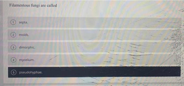 Solved Filamentous fungi are called septa. 2 molds. 3 | Chegg.com