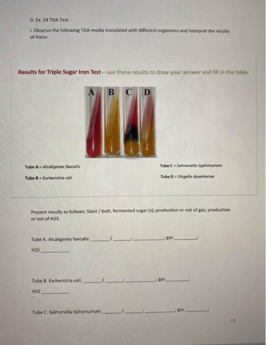 Solved D. Ex. 24 TSIA Test LObserve the following TSI media | Chegg.com