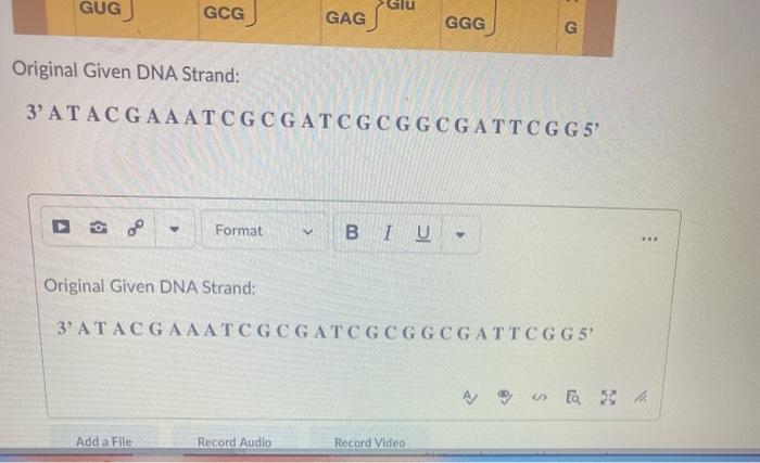 Solved Question 1 (1.5 points) Use the codon table below to | Chegg.com