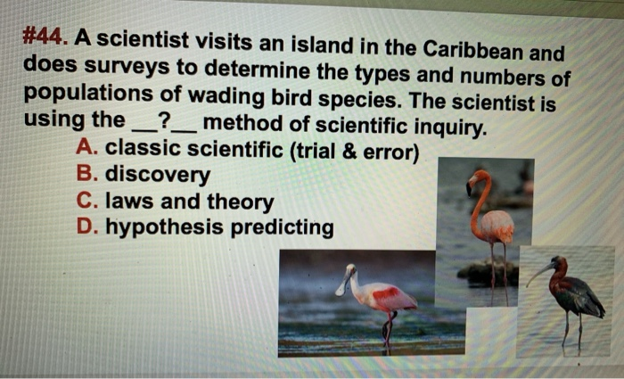 Solved #44. A scientist visits an island in the Caribbean | Chegg.com