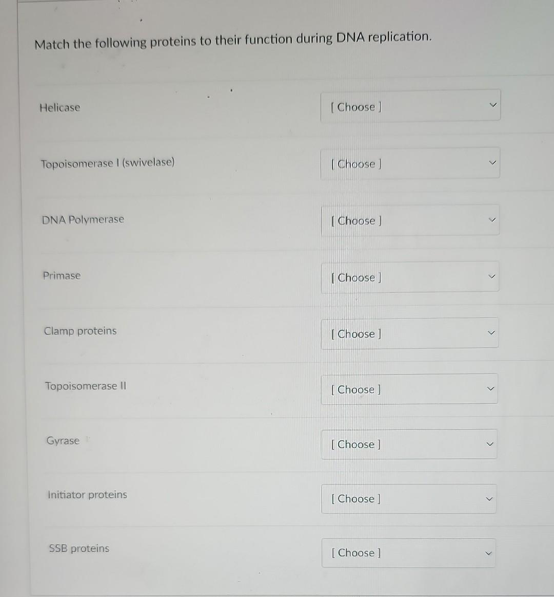 Match the following proteins to their function during | Chegg.com
