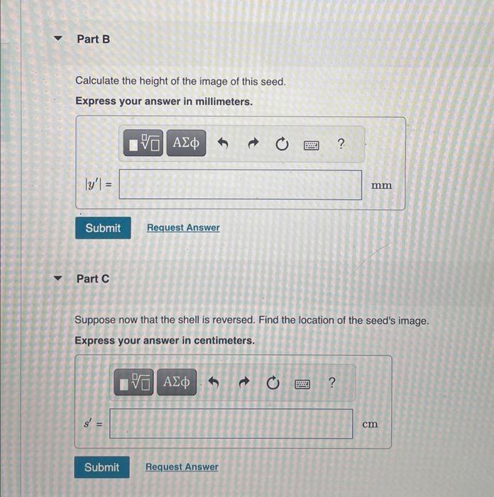 Solved Calculate the location of the image of this seed. | Chegg.com