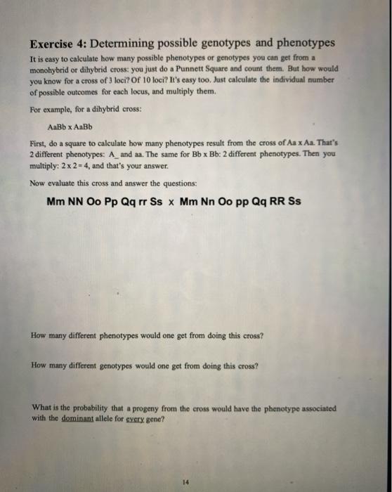 Solved Exercise 4: Determining possible genotypes and | Chegg.com