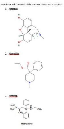 Solved explain each characteristic of the structure (oplold | Chegg.com