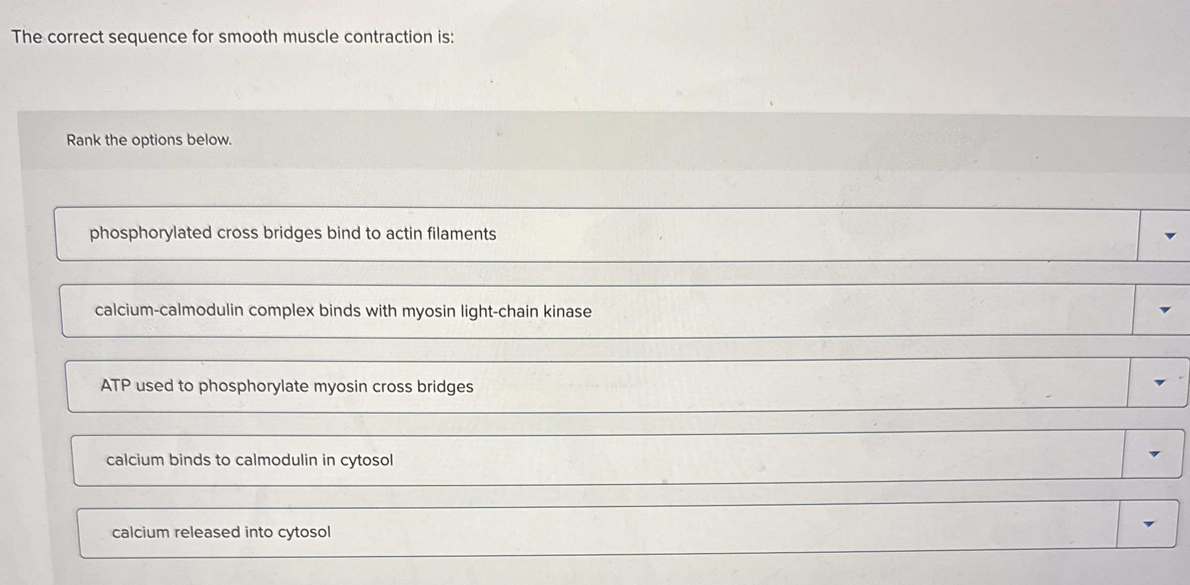 Solved The correct sequence for smooth muscle contraction | Chegg.com