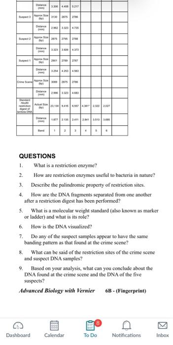 Solved Suspect 3 Suspect 2 Suspect 1 Standard HindIll | Chegg.com