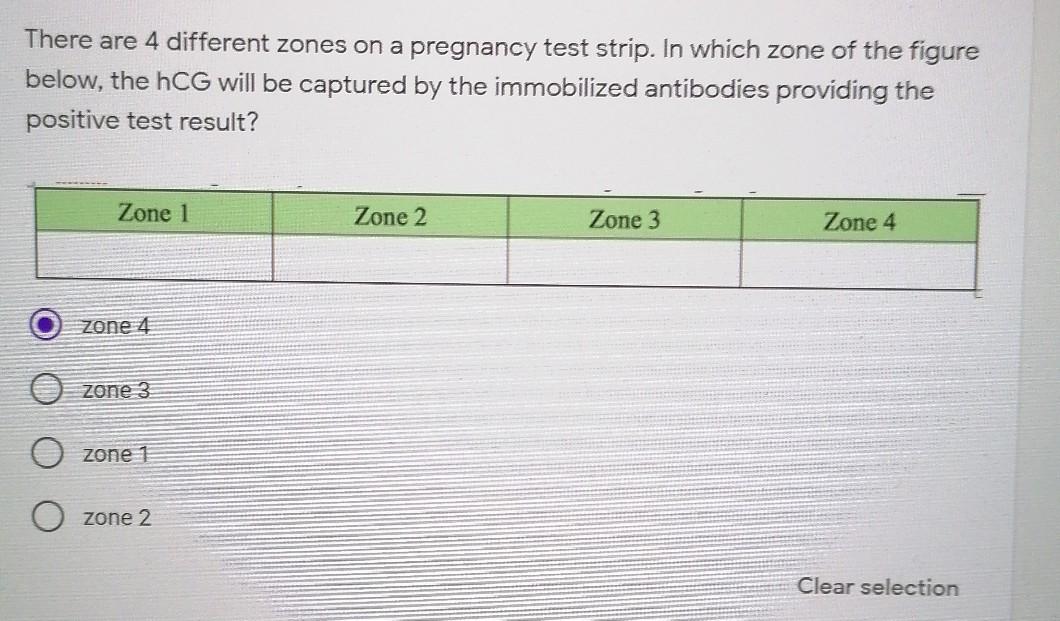 Solved There are 4 different zones on a pregnancy test | Chegg.com