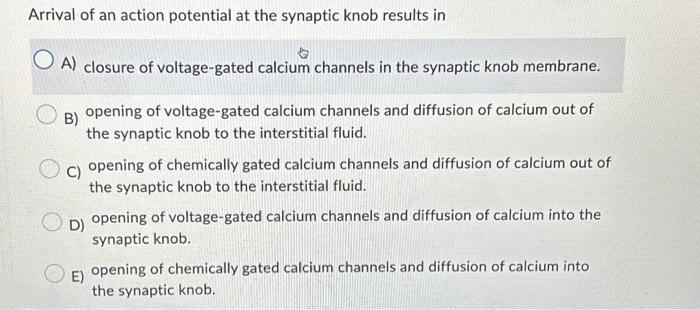 Solved Arrival of an action potential at the synaptic knob | Chegg.com