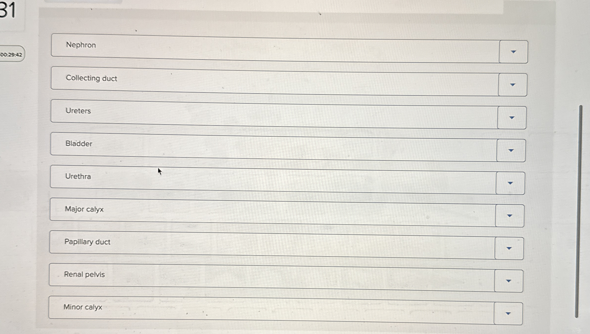 Solved Indicate pathway for urine formation to urine output | Chegg.com