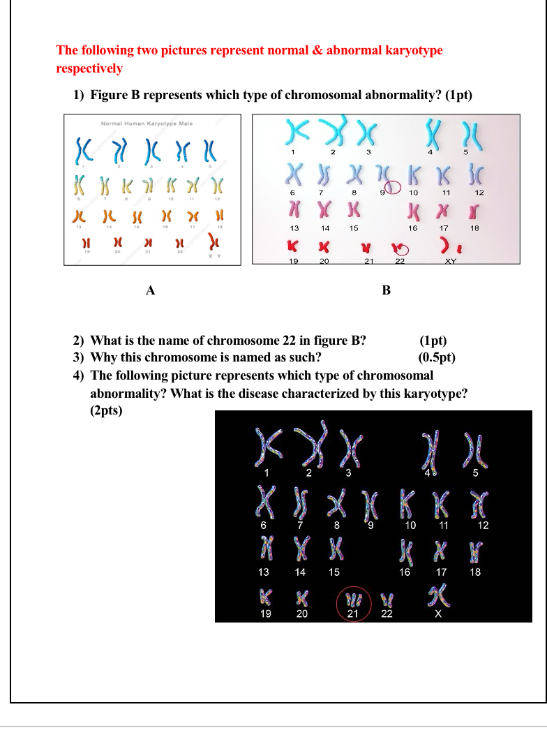 Solved The following two pictures represent normal & | Chegg.com