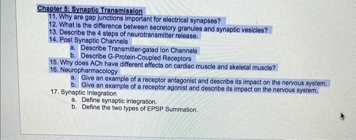 Solved Chapter 5: Synaptic Transmission 11. Why are gap | Chegg.com