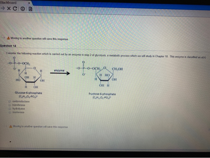 Solved Question 9 4 points Save Answer What do the aine and | Chegg.com