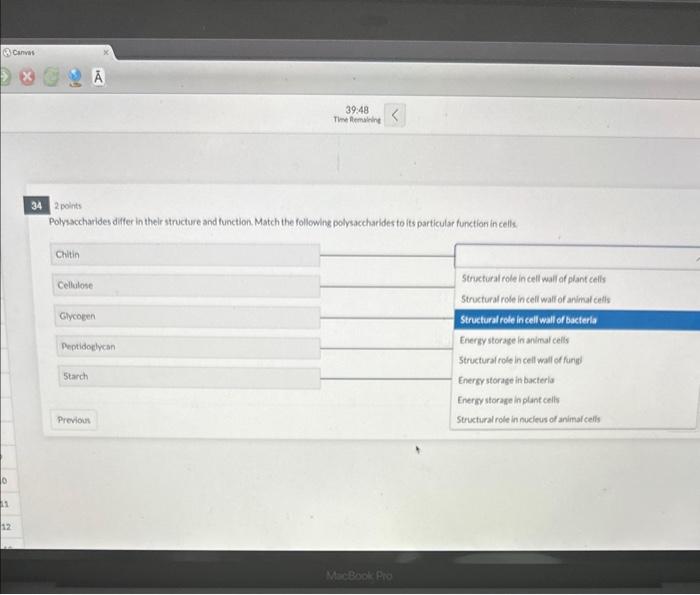 Solved 2 points Polysacharides differ in thelr structure and | Chegg.com