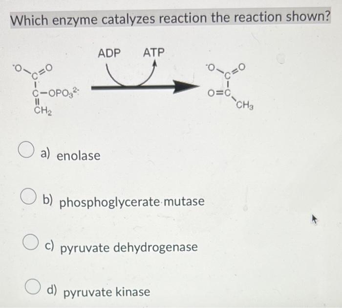 Solved Which enzyme catalyzes reaction the reaction shown? | Chegg.com