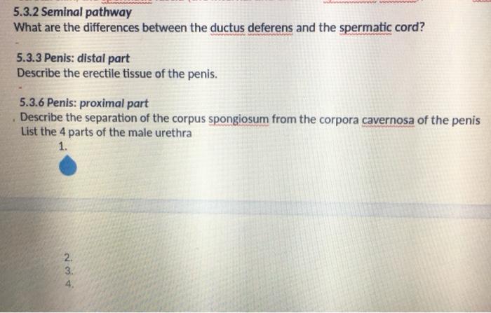 Solved 5.3.2 Seminal pathway What are the differences | Chegg.com