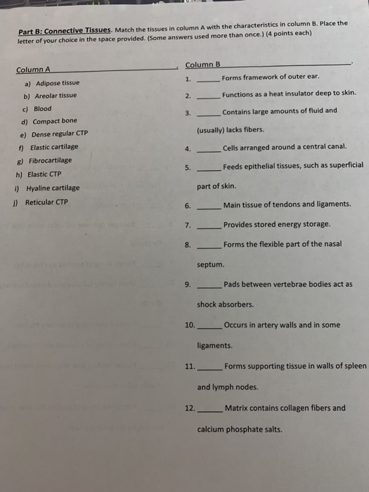 Solved Part A: Epithelial Tissues. Match the tissues in | Chegg.com