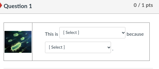 Solved Apply your knowledge. Identify the following images | Chegg.com