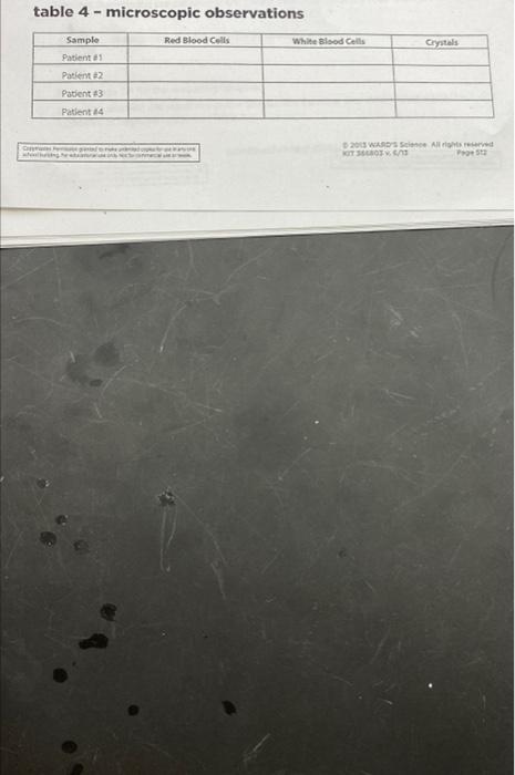 Solved table 4 - microscopic observations | Chegg.com